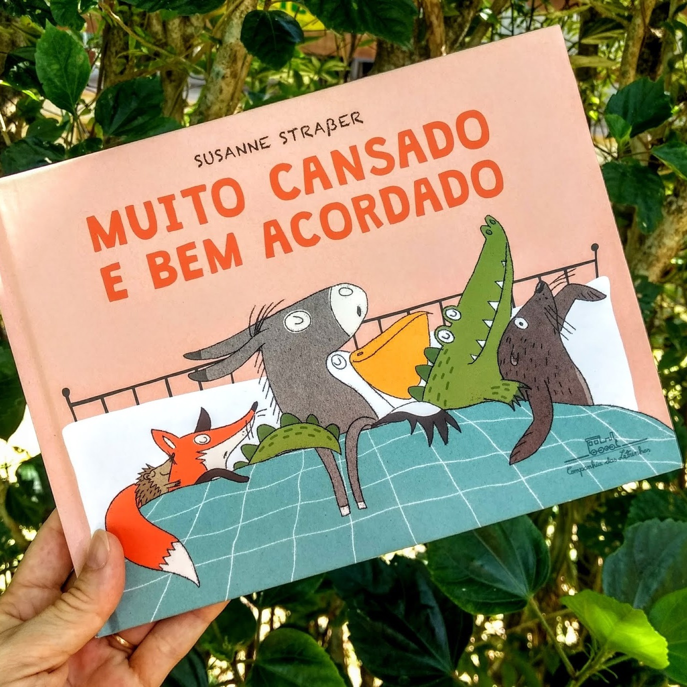 Os 11 melhores livros infantis para começar a ler - Shopee Brasil